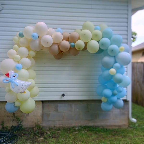 One Silly Goose Balloon Garland Balloon Arch Silly Goose Birthday Party ...