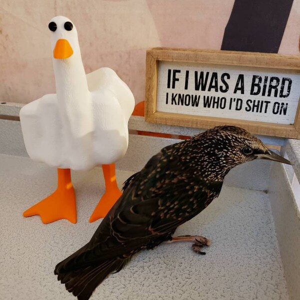 The Duck-you: Original 3D Printed Figurine - Middle Finger Statue ...