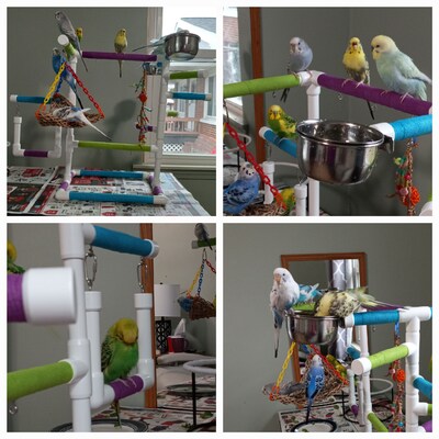 THE MOVER: Portable Parrot Bird Perch W/ Cups for Cockatiels, Conures ...