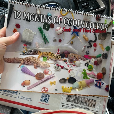 12 Months of Goofy Geckos Seek and Find 2023 Calendar - Etsy