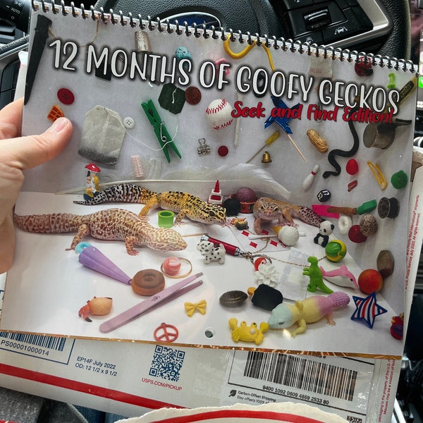 12 Months of Goofy Geckos Seek and Find 2025 Calendar - Etsy
