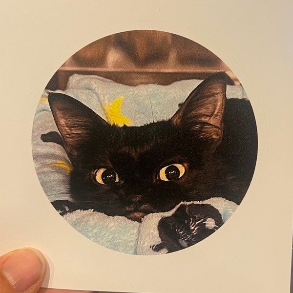 Custom Face Sticker, Stickers From Your Photo Portrait - Die Cut ...