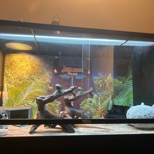 Brown Rock / Stone Aquarium Background Rocky Fish Tank - Etsy