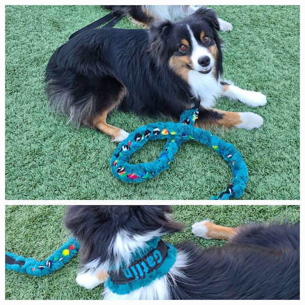 Bold and Bright Ring Lead With Tug! - Agility Lead-barn Hunt Lead ...