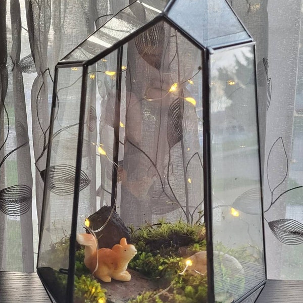 Bioactive Terrarium Kit With Live Moss With Terrarium Container ...