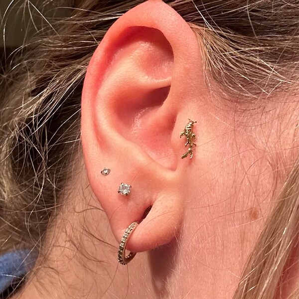 ASTM F136 Koi Fish Titanium Conch Earring, Conch Labret, Internally ...