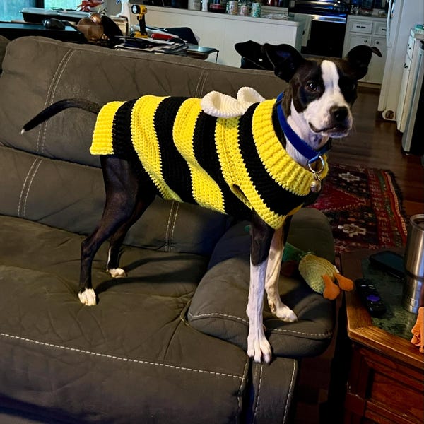 Bumblebee Dog Sweater / Halloween Costume Available in 4 Sizes - Etsy