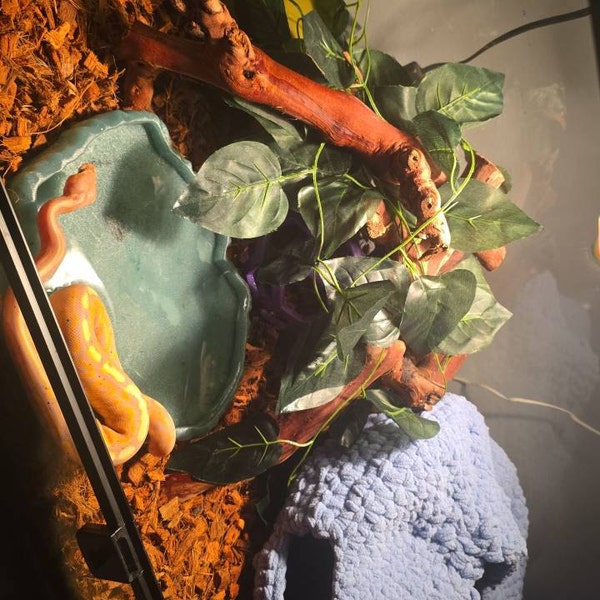 Reptile Humid Hide With Thermometer/hygrometer - Etsy