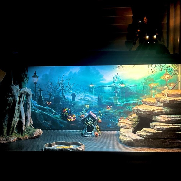 Aquarium / Terrarium Background / Halloween - Spooky - Cemetary ...