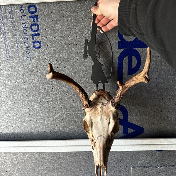 European Skull Mount Hanger (swivel) - Etsy