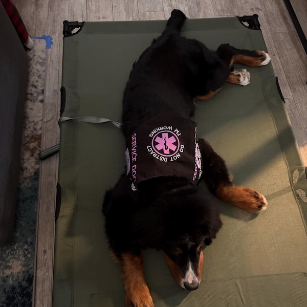 Dog Leash Wrap, Dog Leash Sleeve, Dog Leash, Dog Gear, Custom ...