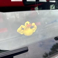 Muscular Arms Duck Meme - Never Skip Arms Day - 3D Printed Dash Duck ...
