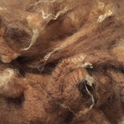 Merino Fleece, Raw Wool, 4 Lbs, 15 Oz Merino Sheep Fleece, Hand ...