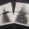Pine Tree Note Card Set of 10 in White or Light Ivory With Matching ...