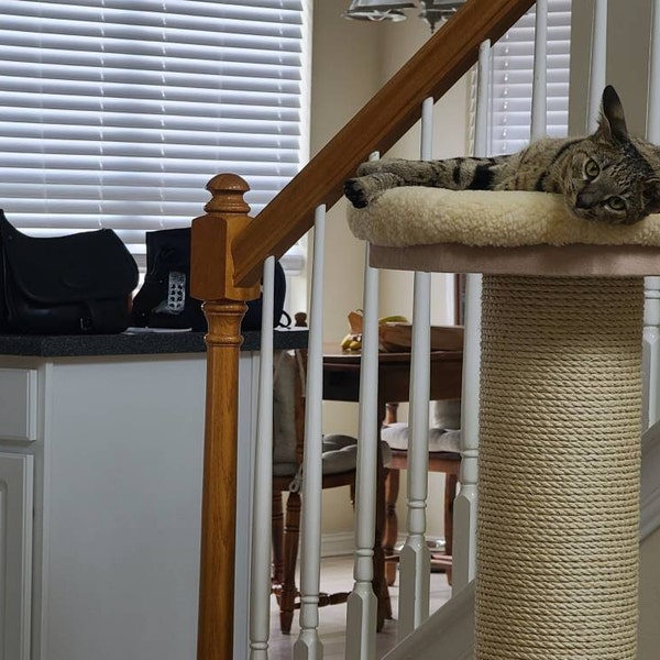 BIGGEST and STRONGEST Cat Post, Heavy Base, Custom Cat Scratcher ...