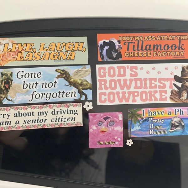 Funny T-rex Memorial Bumper Sticker - RIP Dinosaur Car Decal - Etsy