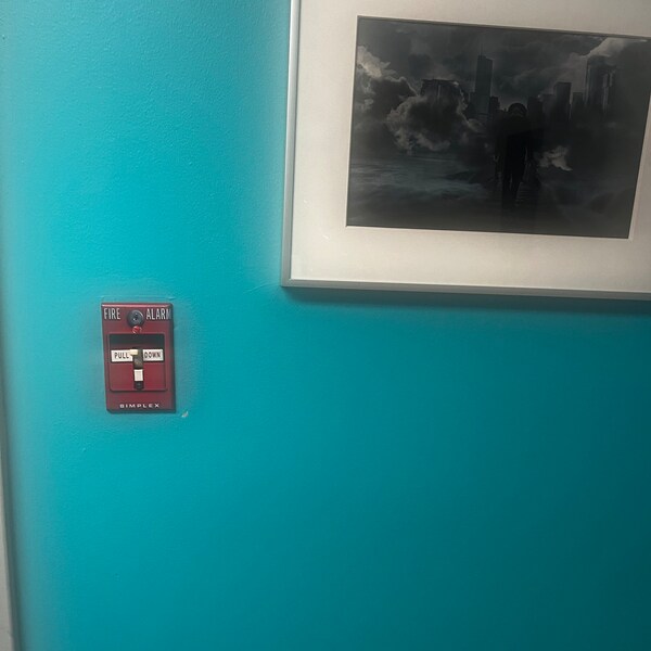 Fire Alarm Light Switch Cover Plate - Etsy