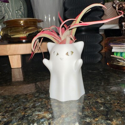 Boho Wavy Plant Pot 4, 5, 6, 7 Tall Clear Pot Perfect Fit Unique ...