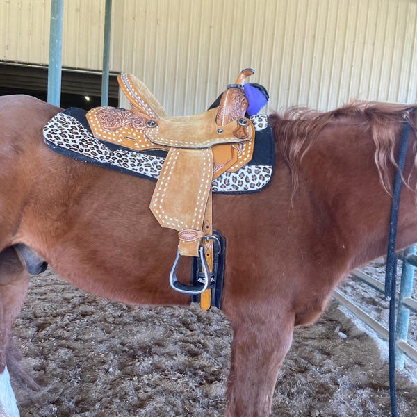 Western Barrel Racing Horse Saddle With Matching Tack Set (head Stall ...