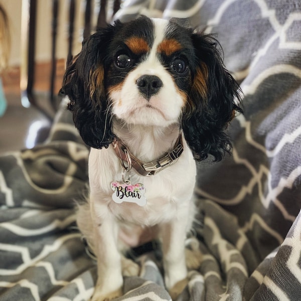 Call My Mom I Am Lost Dog Tag, Floral Pet Tag, Personalized Dog Tag ...