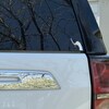 Silly Goose Meme Mirror Peeker Accessory Decal Rear View Mirror Cute ...