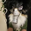 Toony Goat Foam Headbase - Etsy