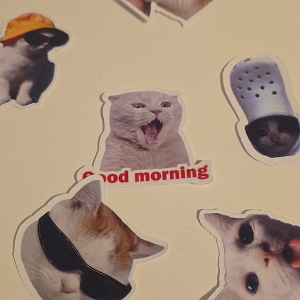 Meme Katzen 50 Lustige Sticker - Süße & Witzige Katze Aufkleber - Matt ...