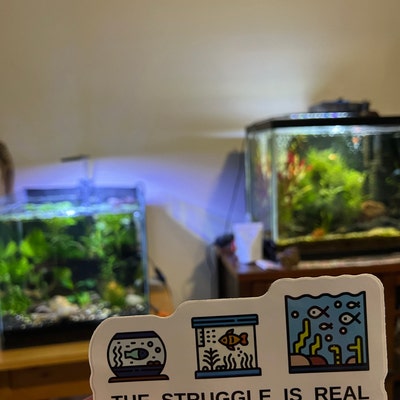 4 Fish Tank Decal Stickers Aquarium Gifts Laptop Hobby Vinyl - Etsy