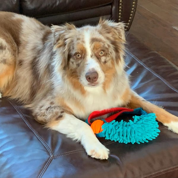 Flying Furball Tennis Tug - Etsy