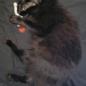 Blunt Catnip Cat Toy PATTERN - Etsy
