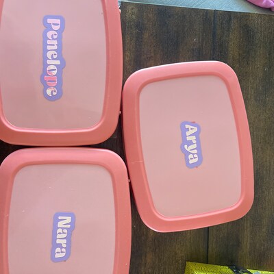 NASA Pink Worm Sticker Laptop Sticker, Water Bottle Sticker, Phone ...