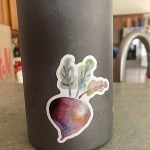LGBTQ Pride Vegetable Flower Sticker 3x1.75/ Hand Painted / Farmer ...