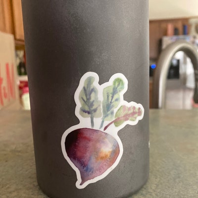 LGBTQ Pride Vegetable Flower Sticker 3x1.75/ Hand Painted / Farmer ...