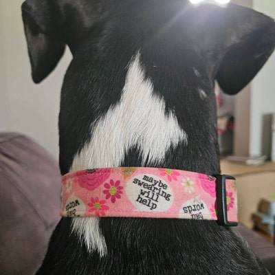 Dog Collar/fresh Out of Fus Dog Collar/ Flower Dog Collar/ Cussing Dog ...
