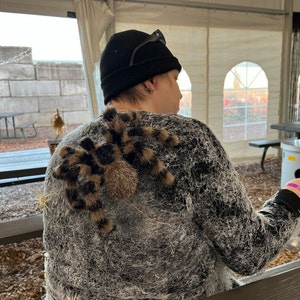 Realistic Tarantula Spider Poseable Shelf Decor Wall Mountable Faux ...