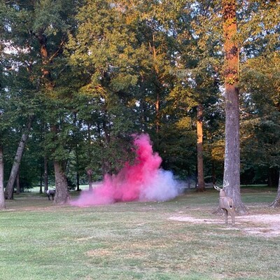 18LB Powder Box Target™ Shooting Target Gender Reveal Creative Gender ...