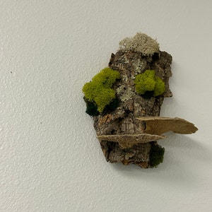 Floating Forest Art Gift, Moss on Cork Bark Natural Wall Decor ...