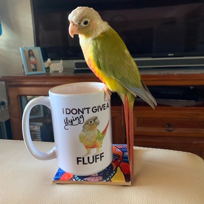 Sun Conure Mug, Sun Conure Raptor Mug, Sun Conure Mother Mom Father Dad ...