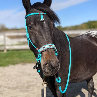 Soft Rope Halter Bitless Bridle Hackamore Diamond Paracord Overlay With ...
