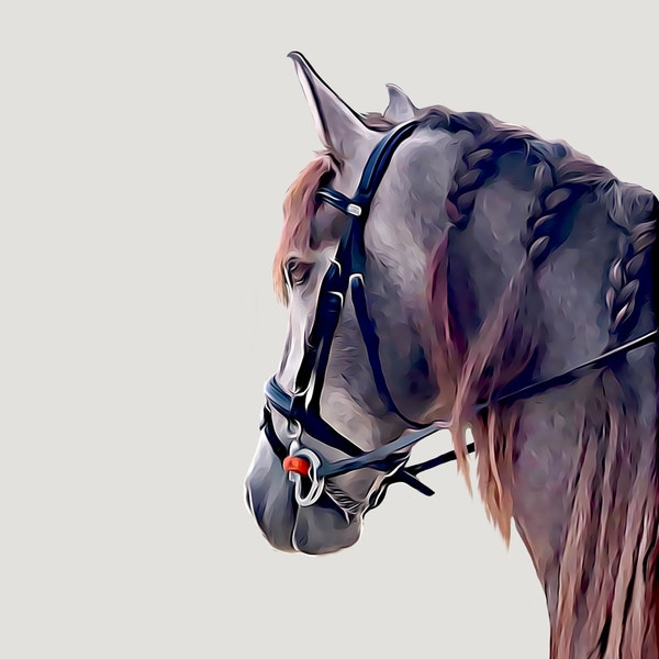 Horse Physical Assessment Form | Horse Bodywork | Equine Form | Horse ...