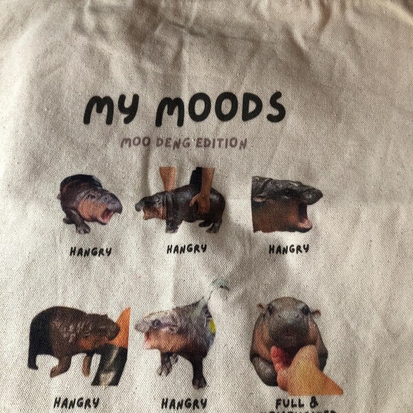 Moo Deng Mood Sassy Hippo Mug | Cute | Funny | Gift - Etsy