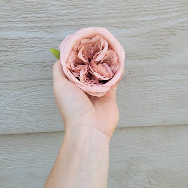 Set of 10 Large Blush English Cabbage Roses Head in High Silk Material ...