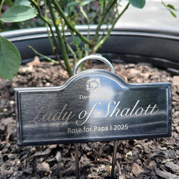 Custom New Employee Welcome Swag Kit Branded Gift Team Gift Employee ...