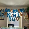 Wackadoo Custom Name is Two Bluey Balloon Banner Bluey Themed Birthday ...