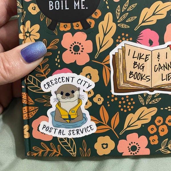 ACOTAR Bookstack Sticker, Kindle Stickers, Tablet Stickers, Phone ...