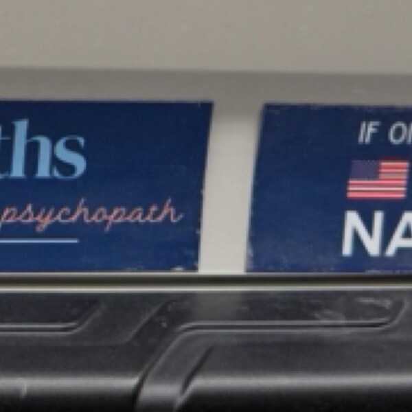 Equality Hurts No One Bumper Sticker, Pro Democracy Bumper Stickers ...