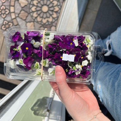 Fresh Edible Flowers Viola 50 Ct - Etsy