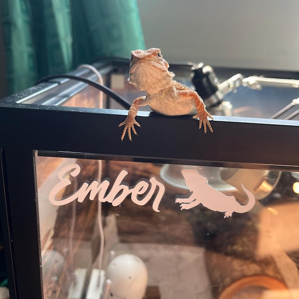 Rat Sweater for Rat Crochet Sweater for Small Pet Sweater for Fancy Rat ...