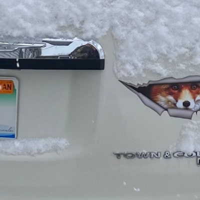 Fox Car Decal , Animals Decal, 3D Sticker, Funny Decal , Car Stickers ...