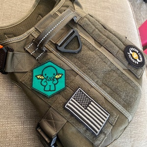 Let's Get Dangerous Patch Made in USA 3 X - Etsy